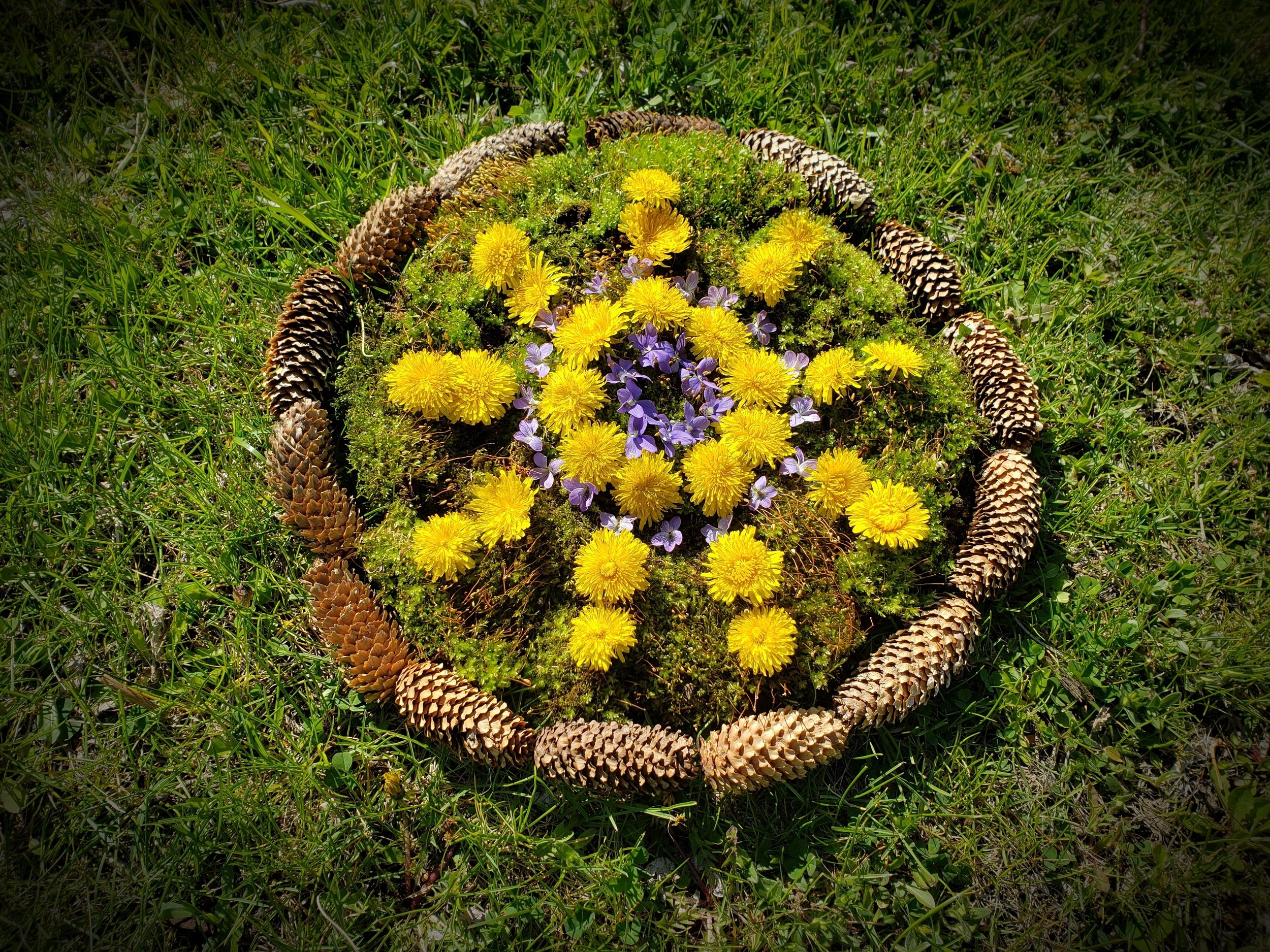 How to Find Gratitude in Nature - Anavah Consulting